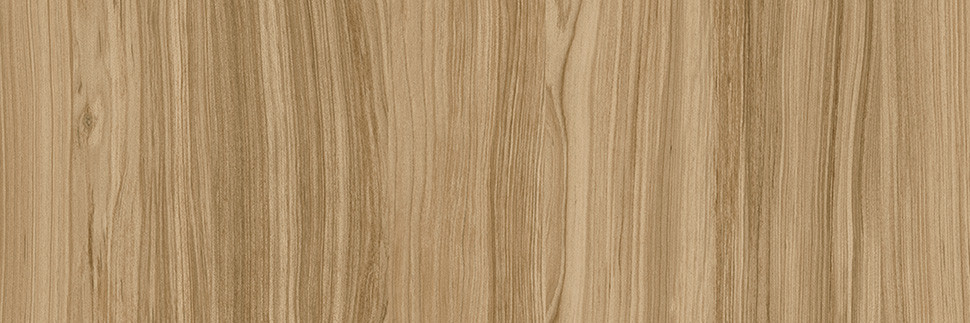 Fawn Cypress