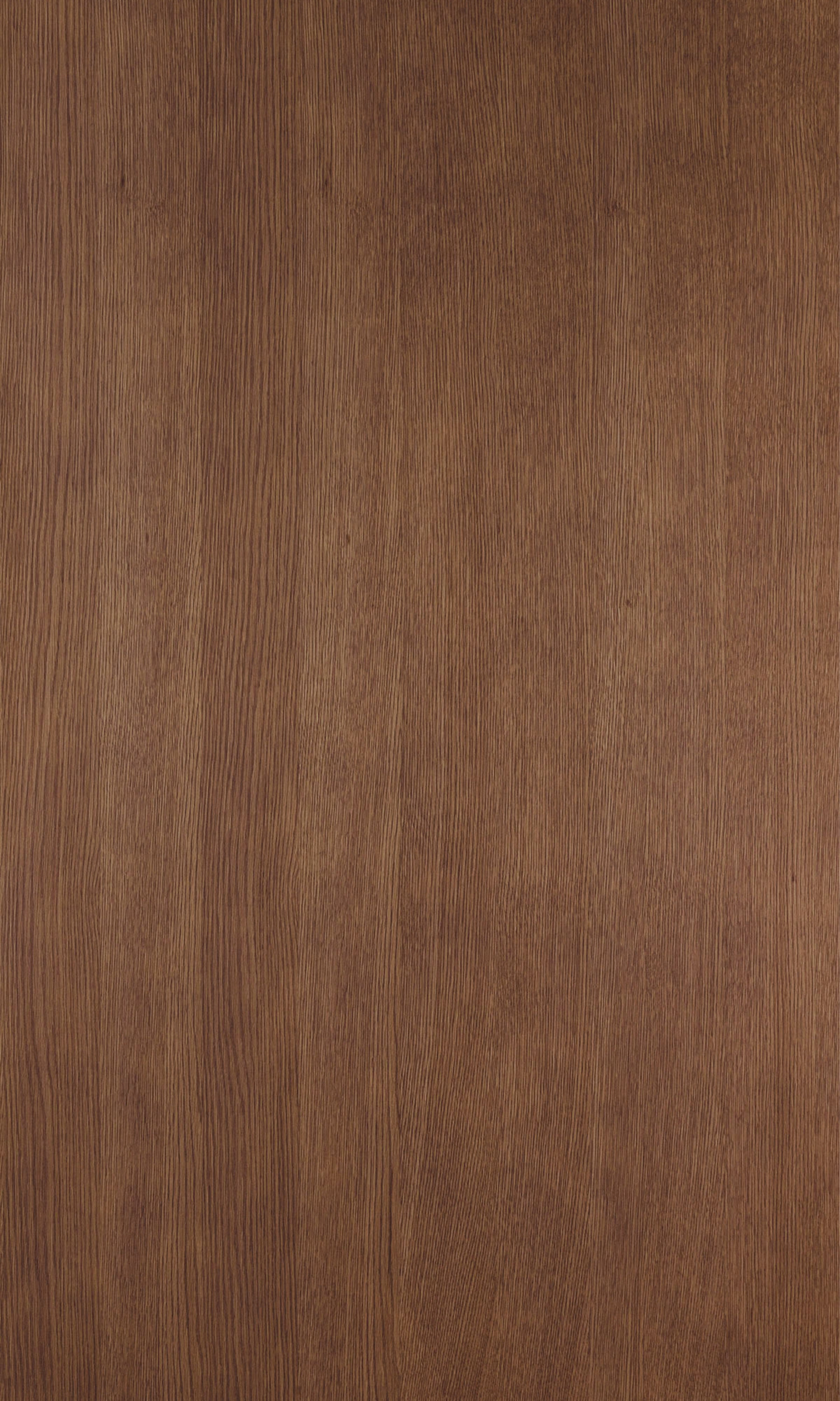 Auburn Oak